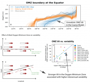 The Equatorial Undercurrent influences the fate of the Oxygen Minimum ...