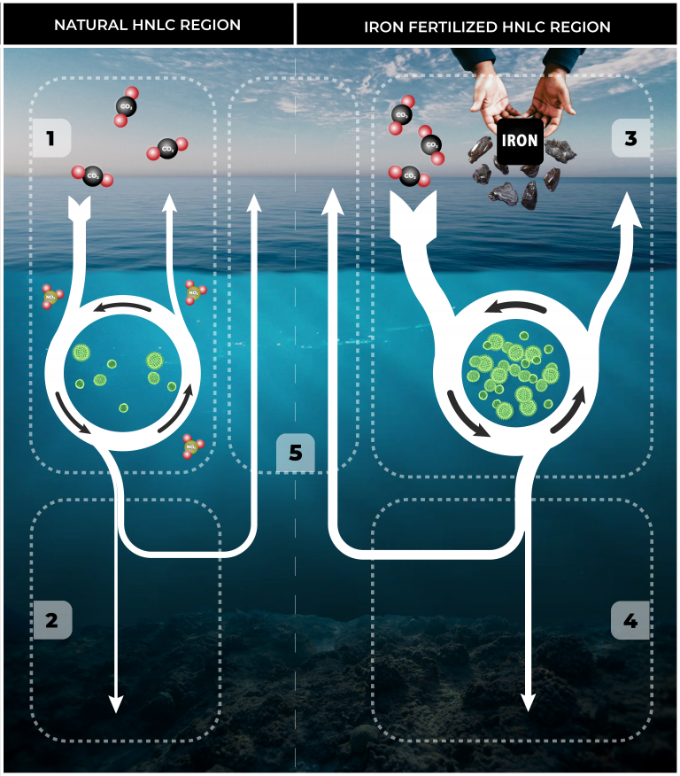 Ocean iron fertilization commercialization: bad idea; Continued ...