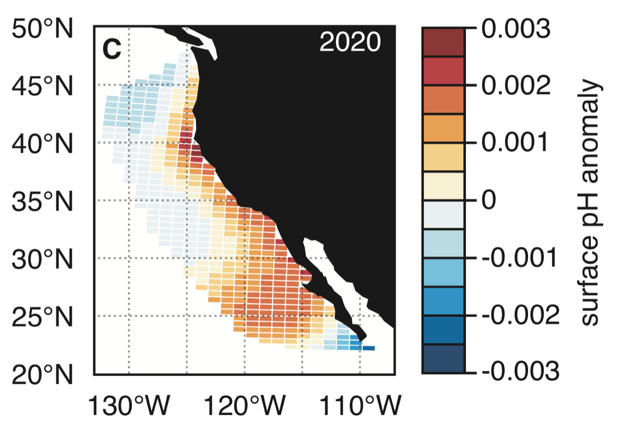 Multiyear predictions of ocean acidification in the California Current ...