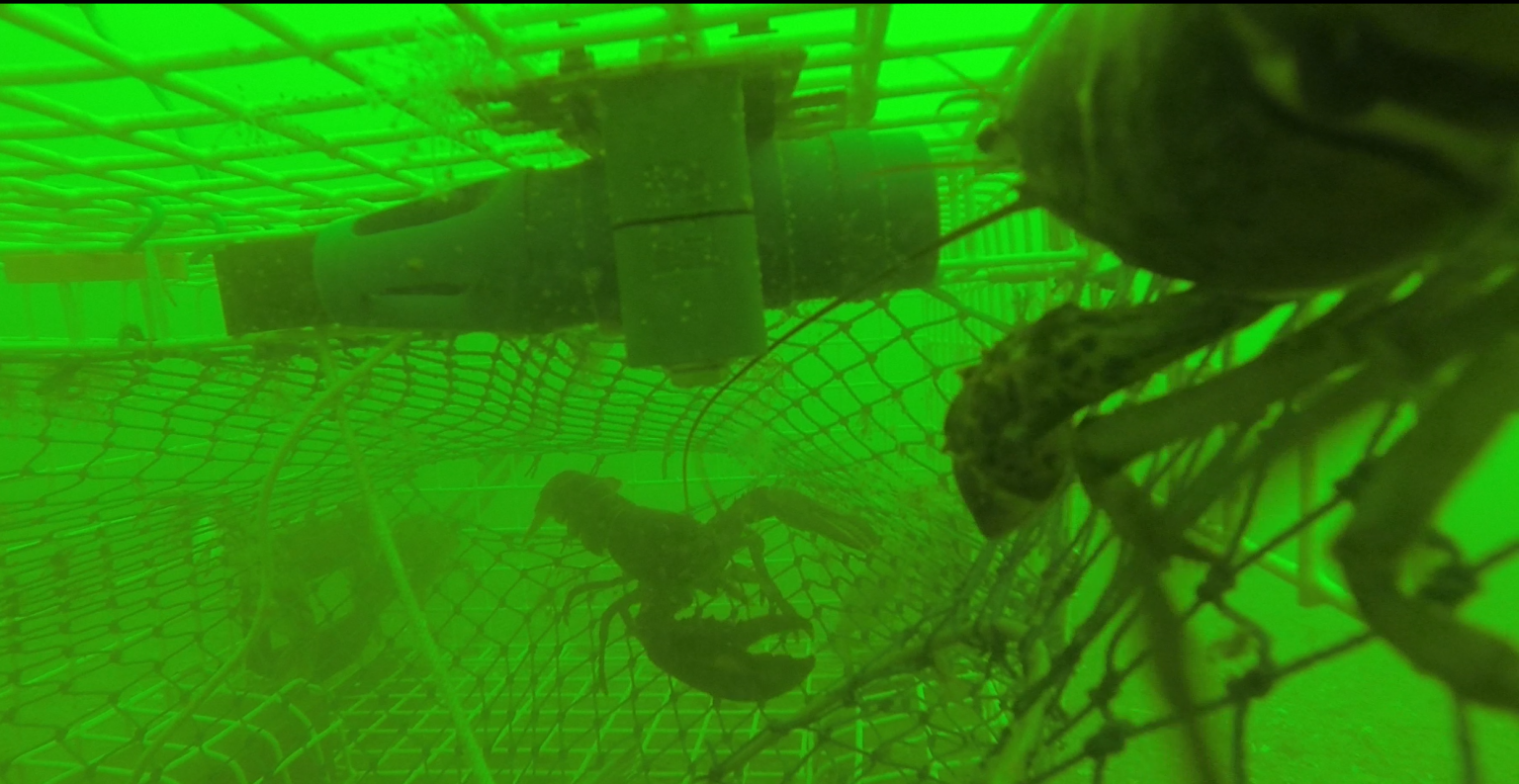 OCB Scoping Workshop: Building a Cost-effective Coastal Biogeochemical ...