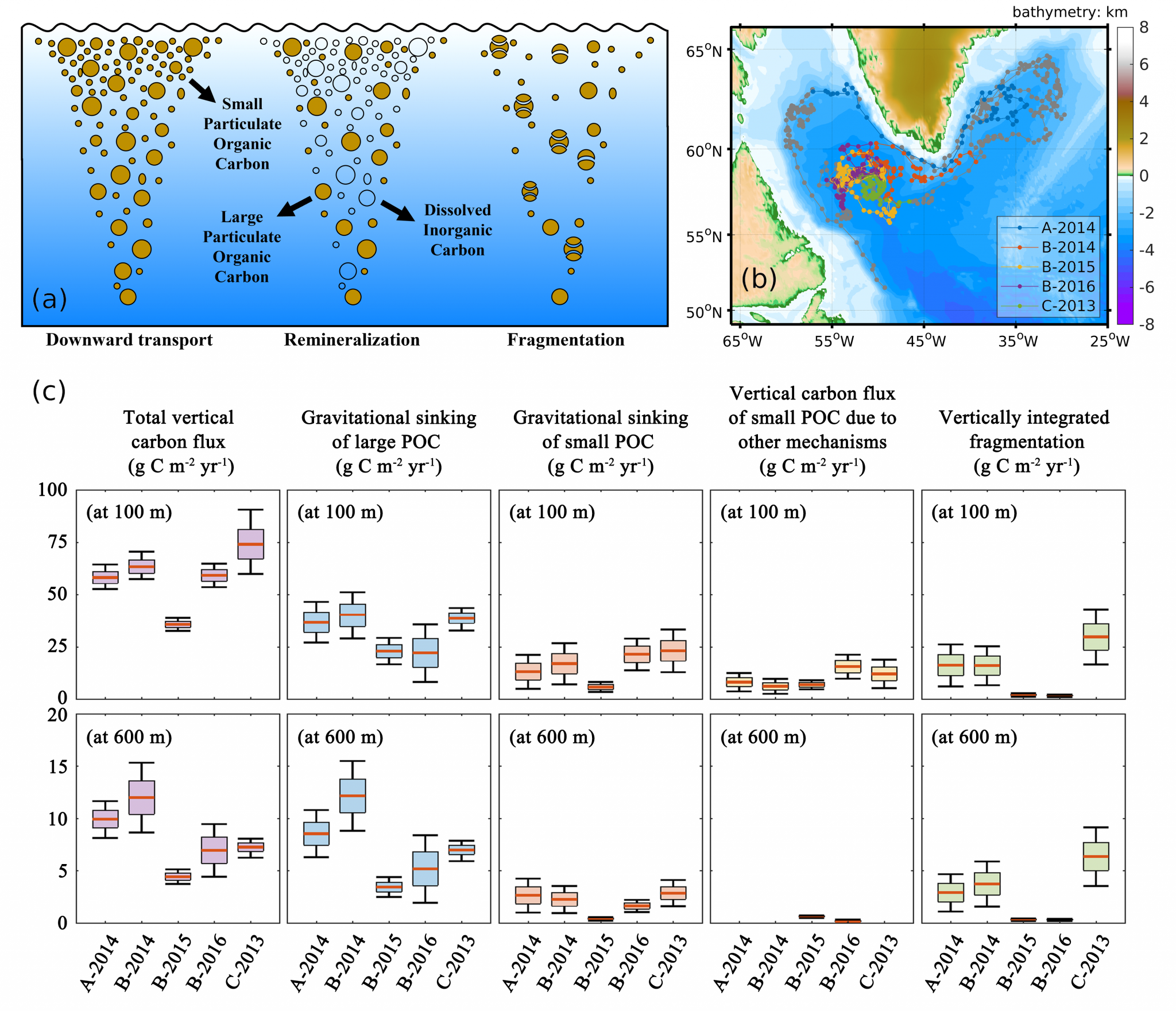 Small particles contribute significantly to the biological carbon pump ...