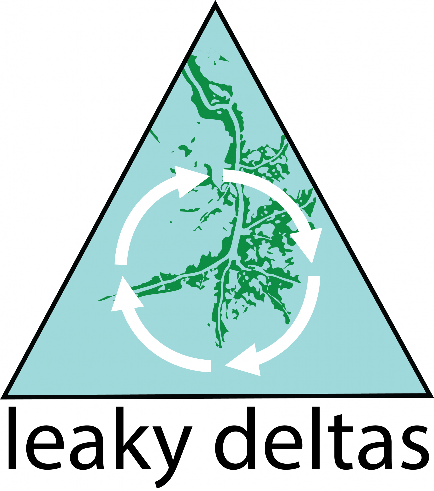 Leaky Deltas Webinars & Workshop :: Ocean Carbon & Biogeochemistry