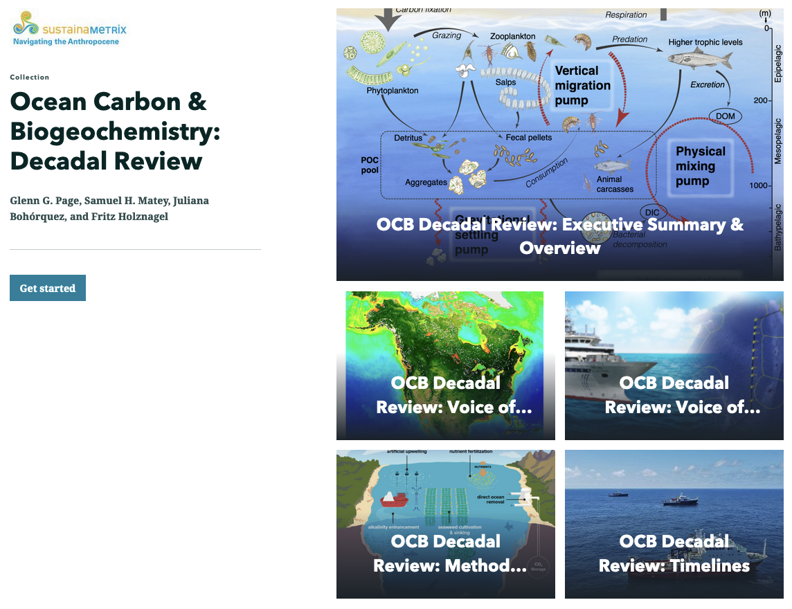 About :: Ocean Carbon & Biogeochemistry